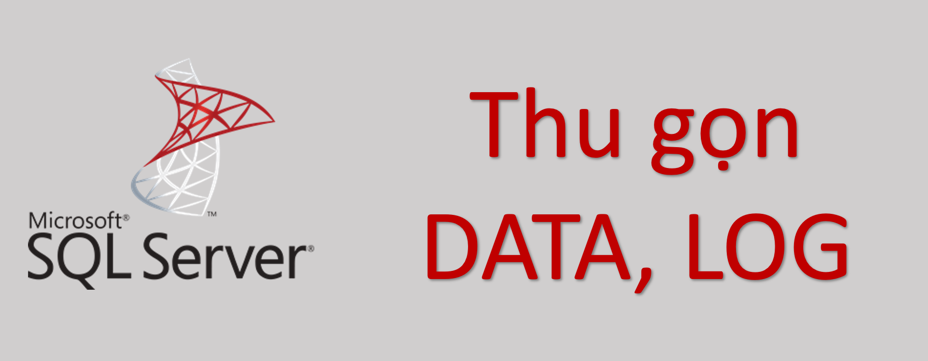 Kiểm Tra Và Thu Gọn File Data File Log Của Database Trong Sql Server
