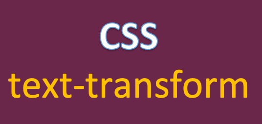 Thuộc Tính Text Transform Trong Css